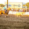Gallery | Owyhee County Rodeo