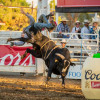 Gallery | Owyhee County Rodeo