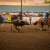 Gallery | Owyhee County Rodeo