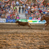 Gallery | Owyhee County Rodeo